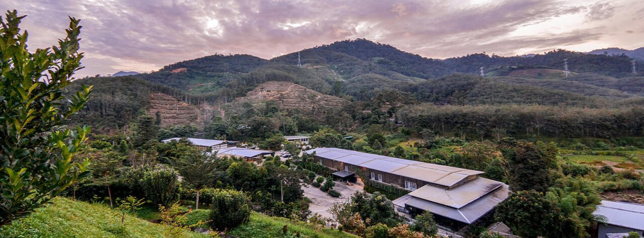 Bentong | Play with Play